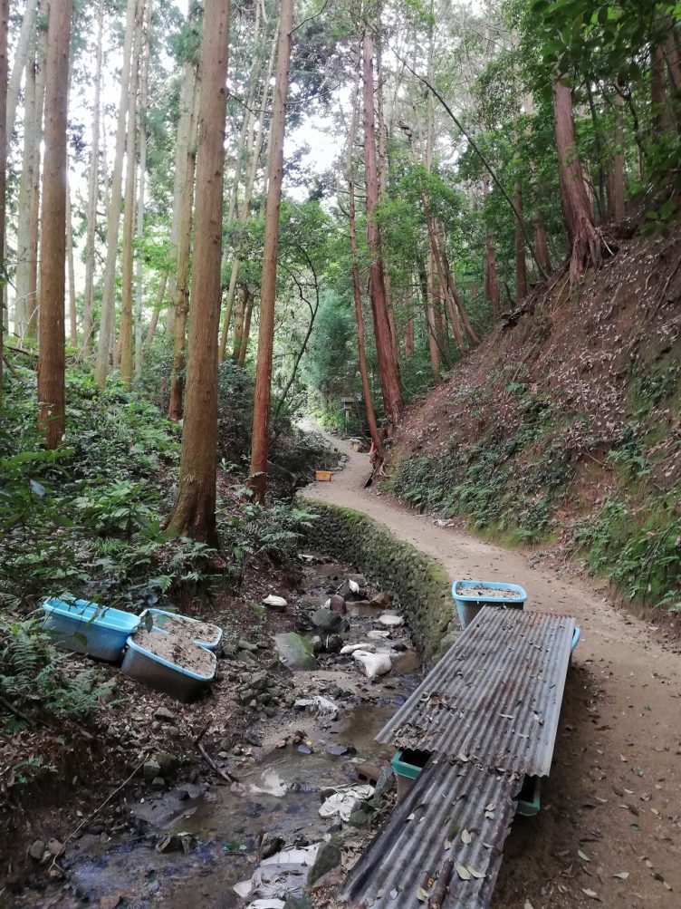 Yamanobe no michi| Sai Shrine ～ Hibara Shrine | TatumiGoroDaimyojin ...